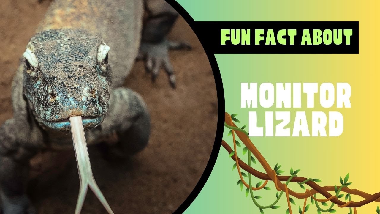 Monitor Lizard | Facts You Never Knew - YouTube