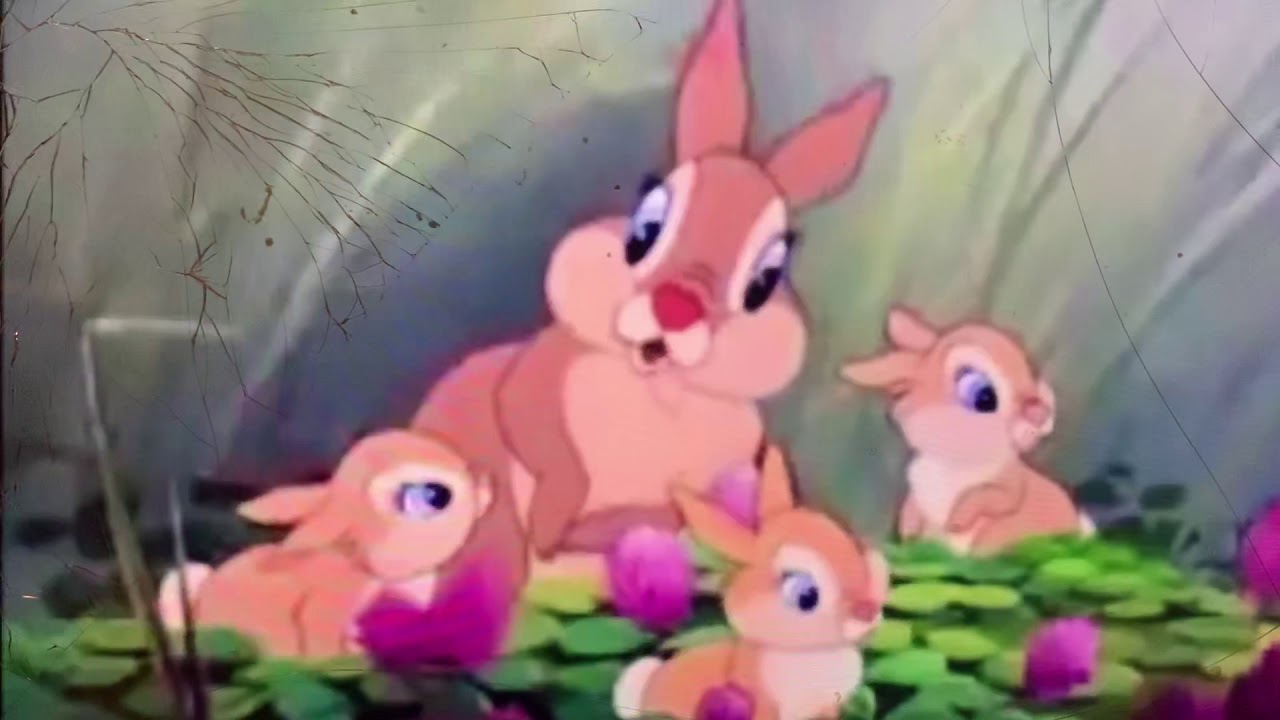 Eating greens is a special treat it makes long ears and great big feet ...