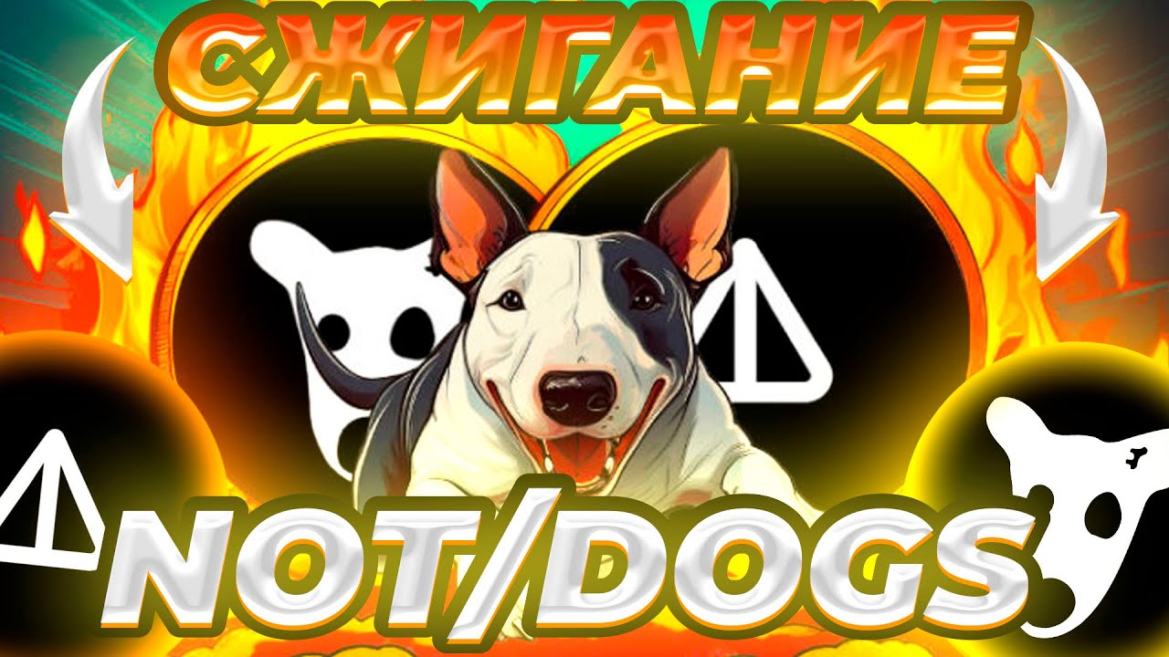 ВАЖНО! NOT DOGS МАСОВОЕ СЖИГАНИЕ! СКОЛЬКО БУДЕТ СОЖЕННО? РОСТ ЦЕНЫ NOT ...