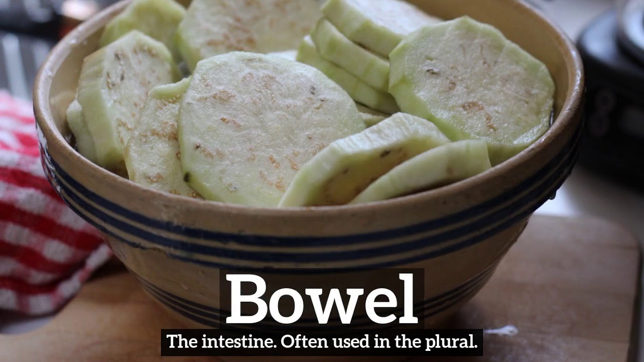 What Are Bowel How Do Bowel Look How To Say Bowel In English what-are-bowel-how-do-bowel-look-how-to-say-bowel-in-english