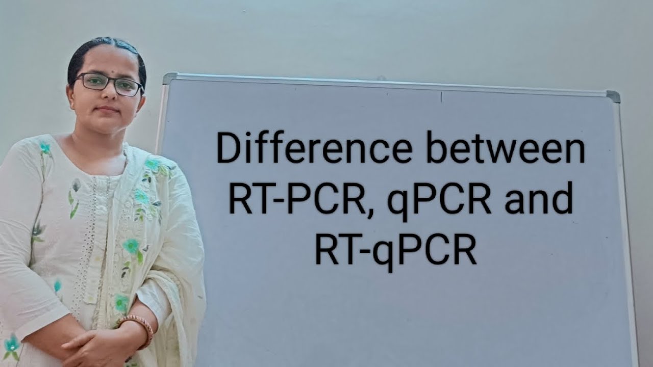 Difference in RT-PCR, qPCR and RT-qPCR | Reverse transcriptase PCR ...