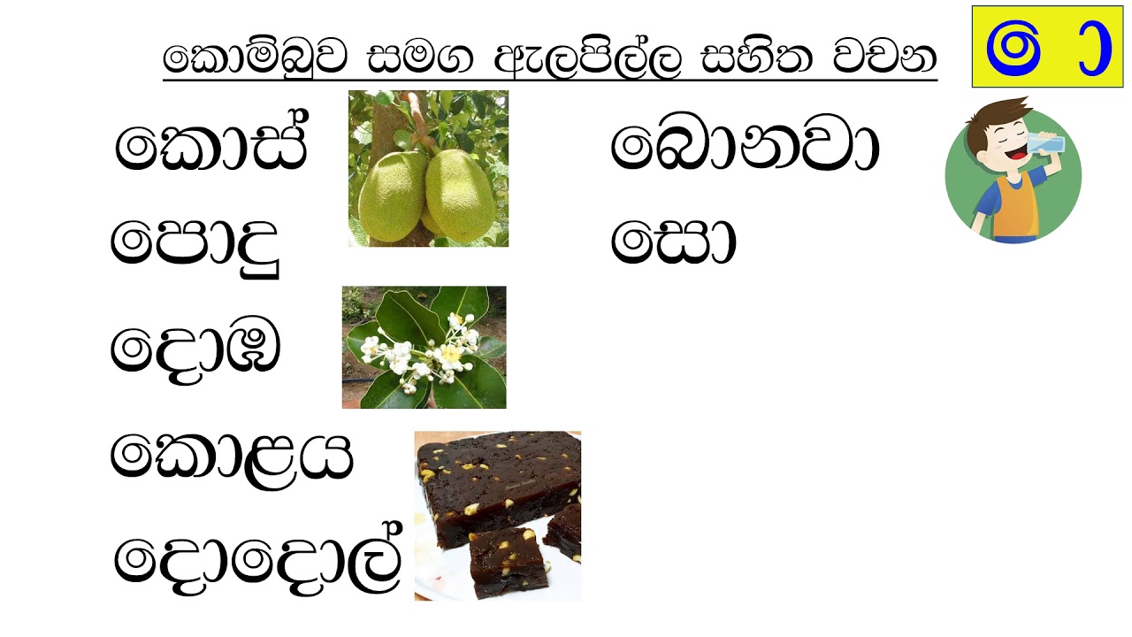 කොම්බුව සමග ඇලපිල්ල (Kombuwa with Alapilla) - YouTube