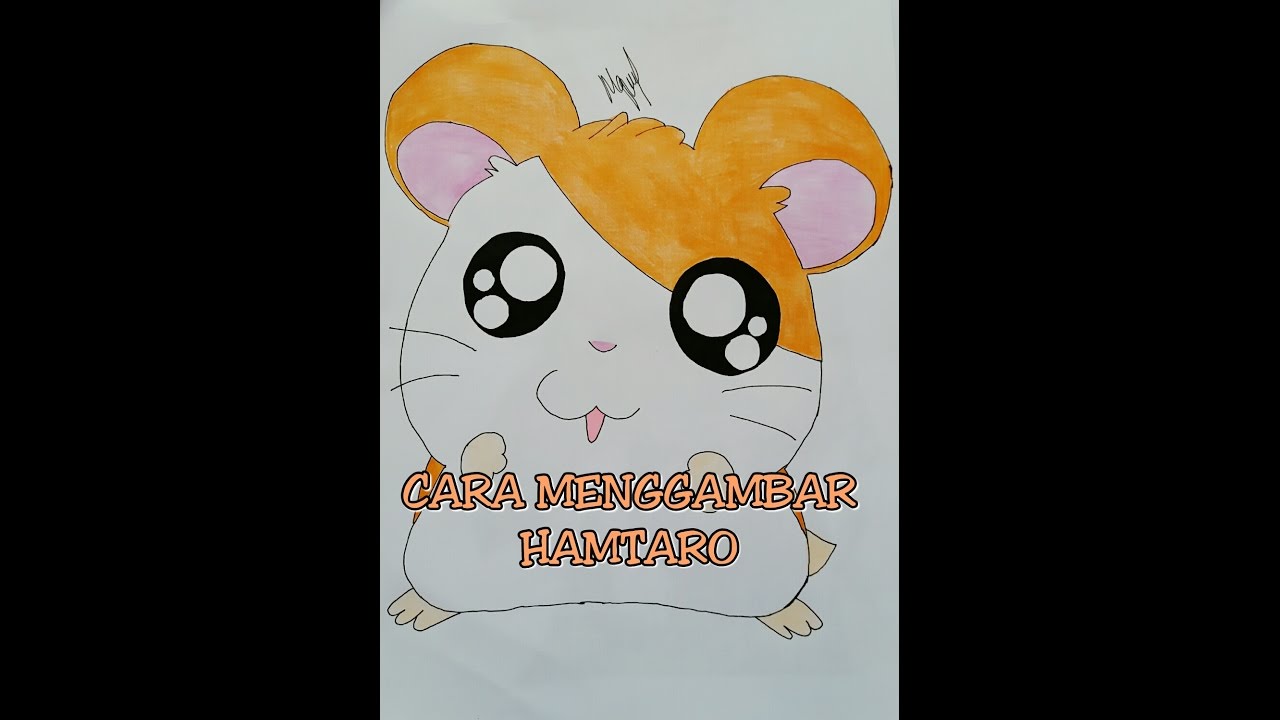 HOW TO DRAW HAMTARO - YouTube