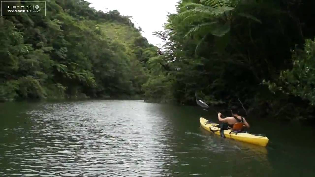 JAPAN Okinawa Yanbaru Forest Canoeing by Sony NEX 5 AVHCD - YouTube