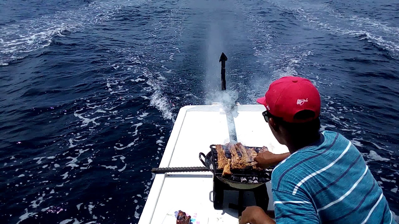 Dolphin watching and Barbecue at Tañon straight with family. - YouTube