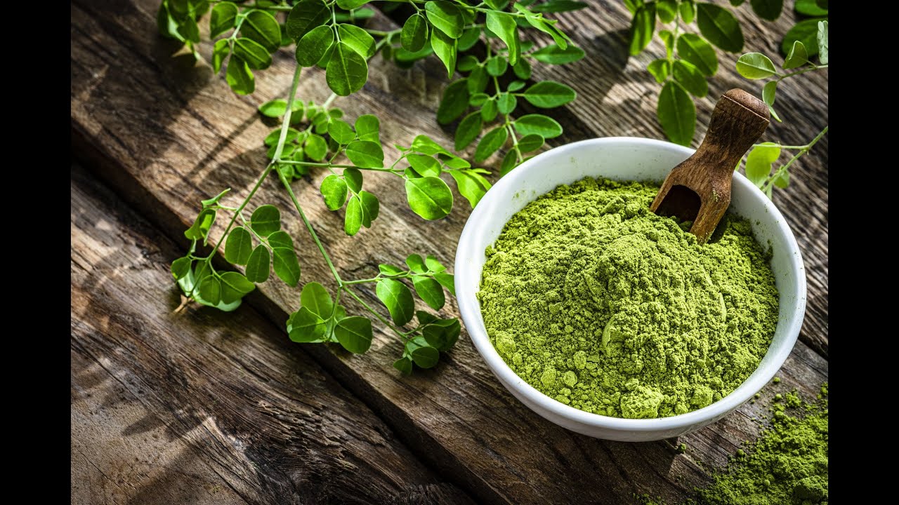 Moringa benefits how to eat moringa & how to ready and moringa benefits ...