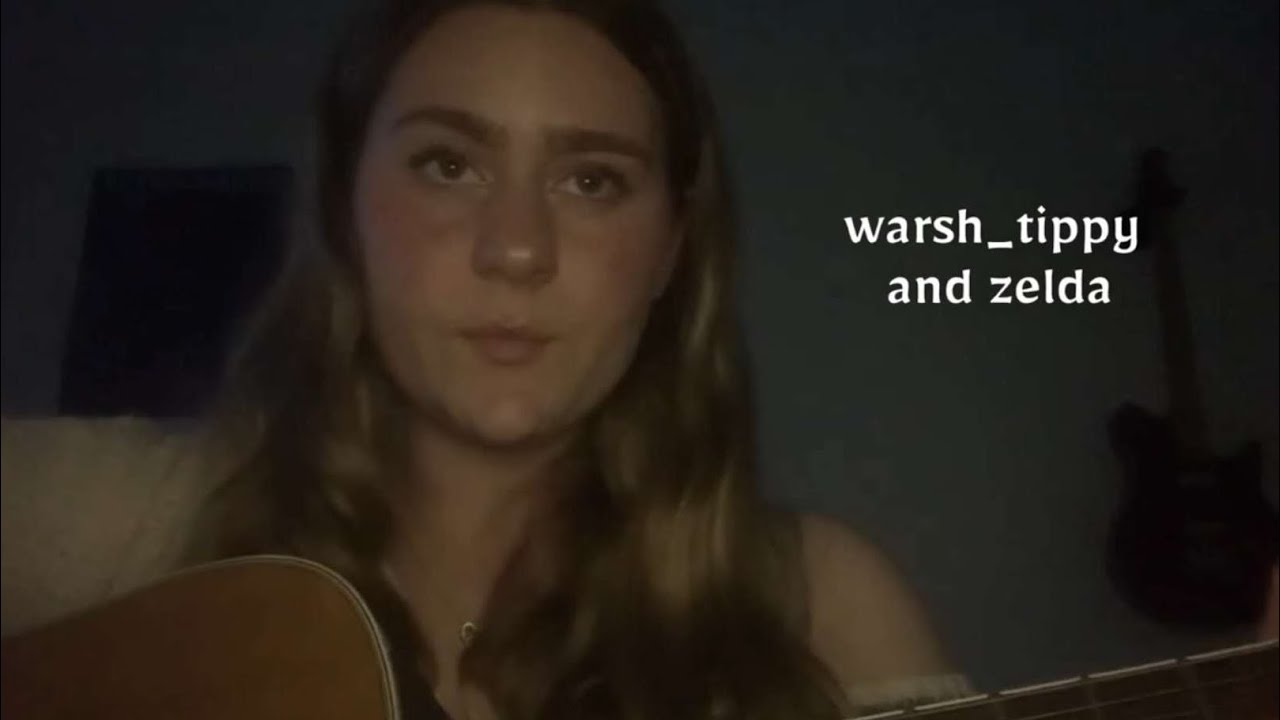warsh_tippy and zelda - whatever, dad cover ! *ੈ ‧₊˚ - YouTube