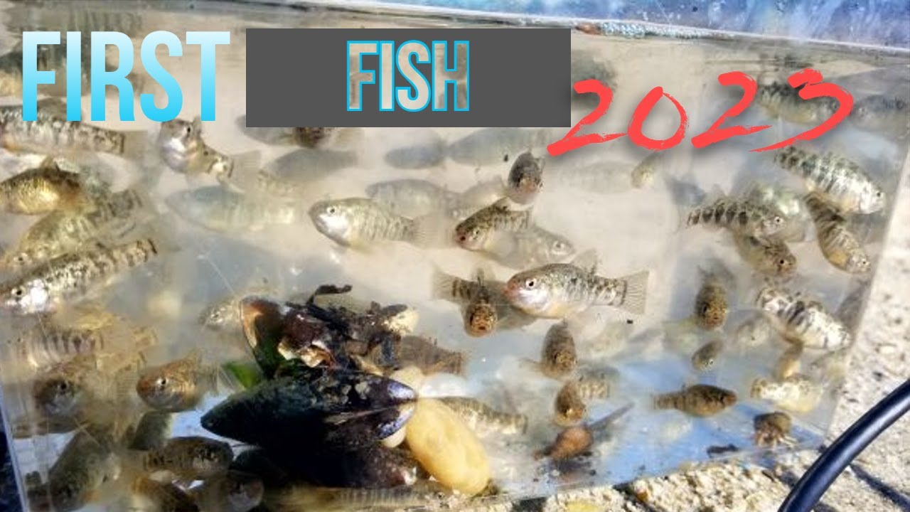 First Fish/Last Fish- Part 2: Down the Shore - YouTube