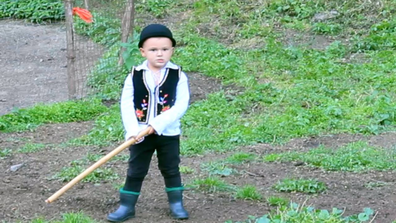 CIOBANIA-I VIATA MEA (MUZICA POPULARA) - YouTube