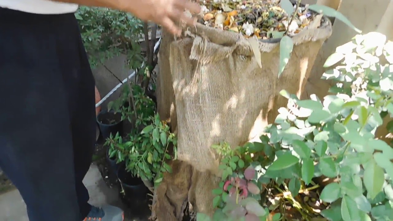 Effective and Inexpensive Kitchen Waste Composting in India - YouTube