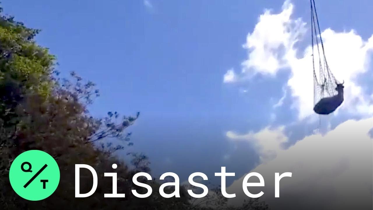 Cow Airlifted to Safety After Falling Down Cliff in Italy - YouTube