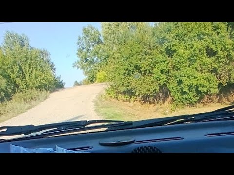 Traseu Lunca Corbului Costești pescuit Golești salau Live 21-08-2024 ...