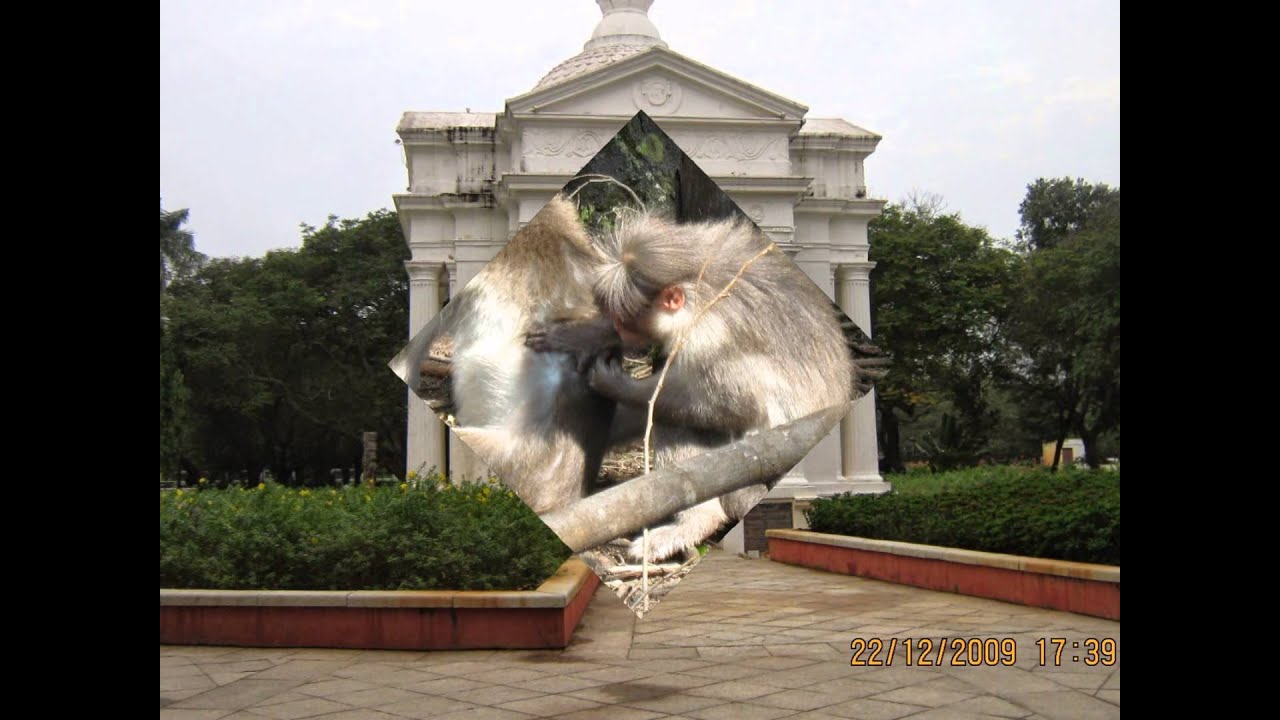 Random Clicks - YouTube