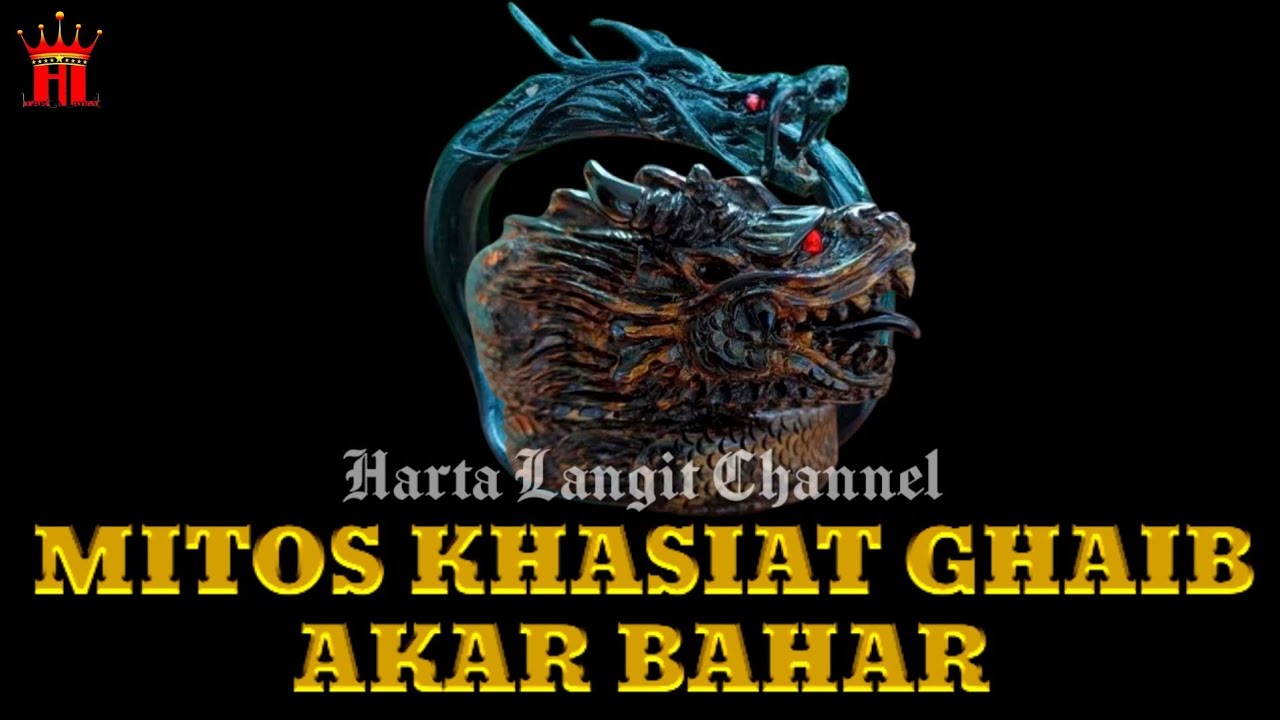 Khasiat dan Manfaat Akar Bahar Asli - YouTube