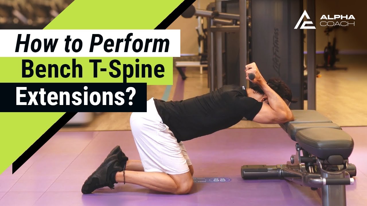 How to Perform Bench T-Spine Extensions? | Alpha Coach - YouTube