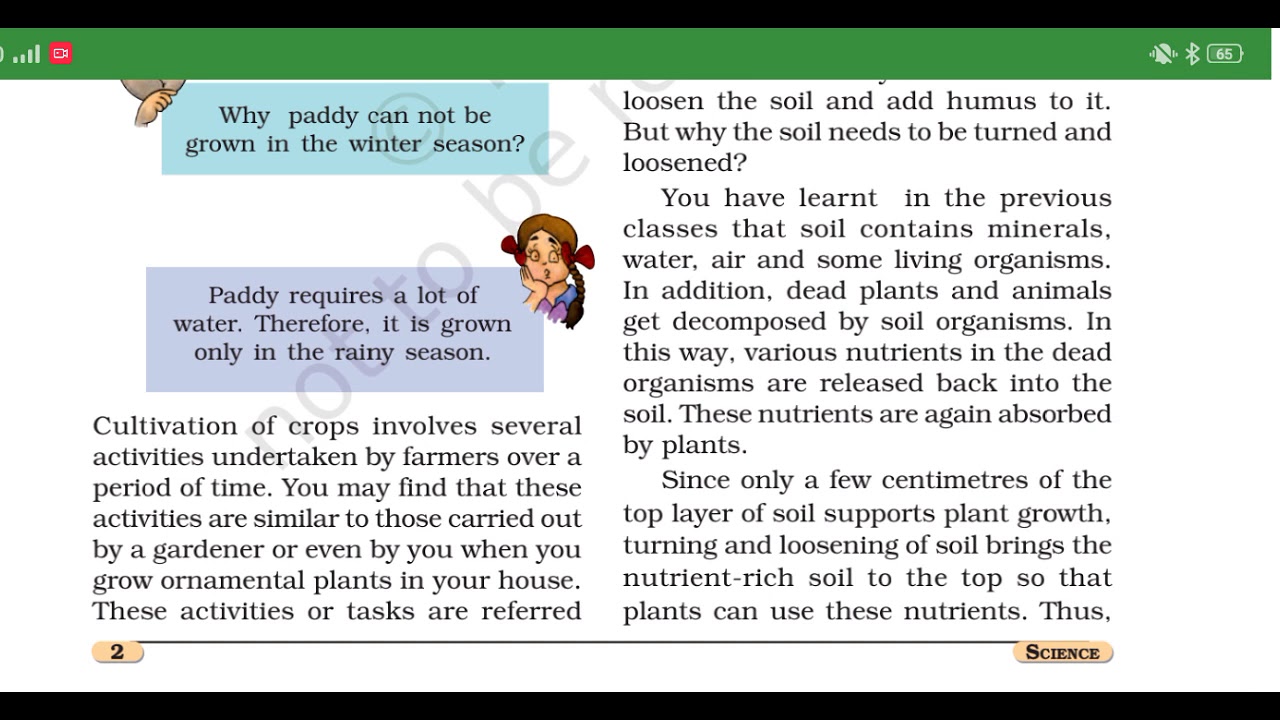 Class 8th Science Chapter 1 Part 1 YouTube class-8th-science-chapter-1-part-1-youtube