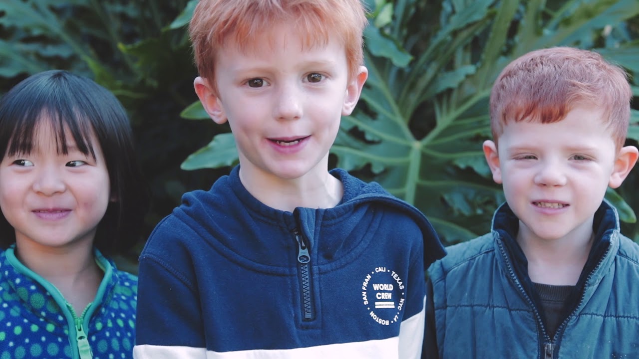Reconciliation Week 2019 - YouTube