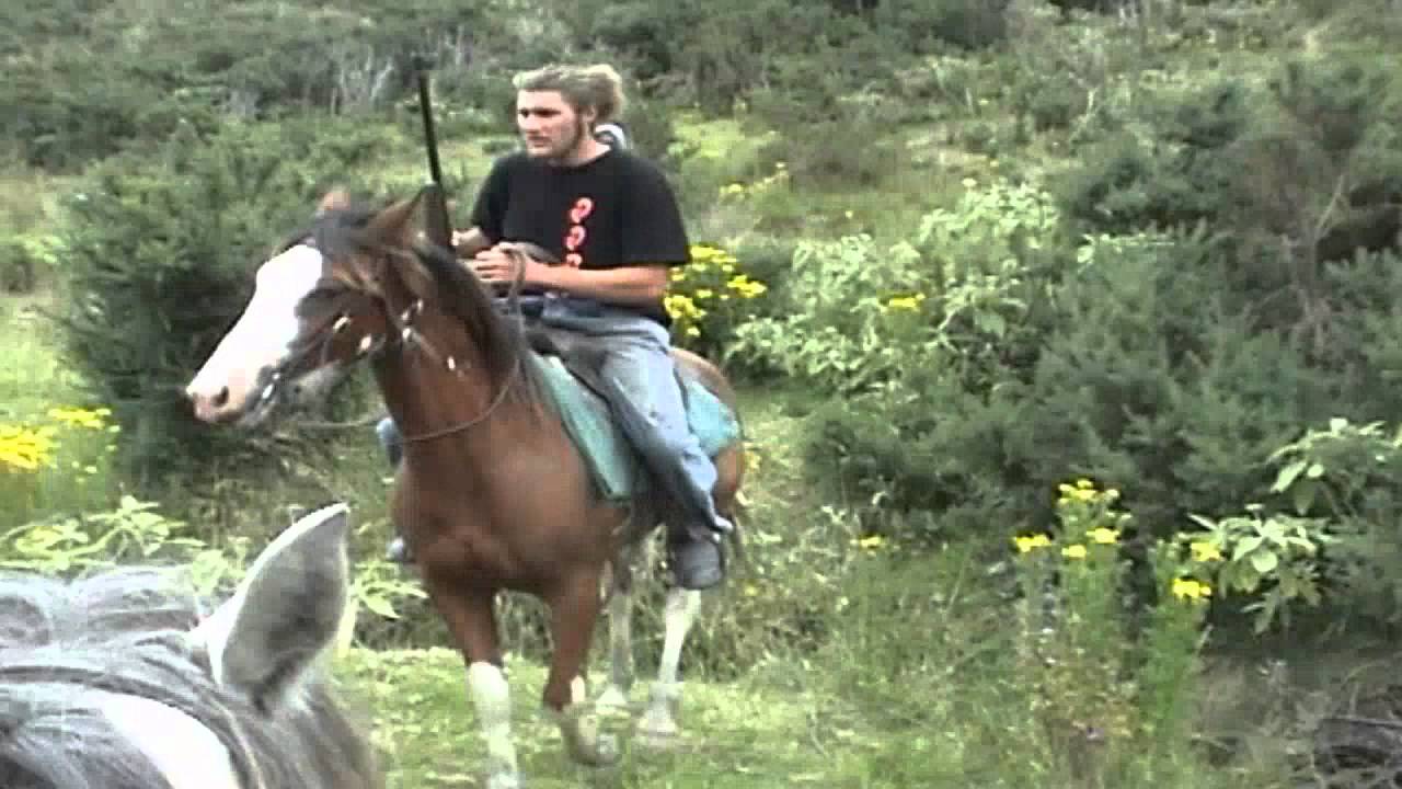 Must see!!!!!! Horse Riding...City Slickers Cmon trev.mp4 - YouTube