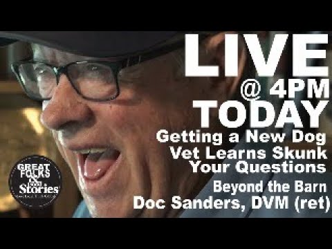 Doc Sanders, DVM (ret) LIVE @ 4:00PM EST TODAY Getting a Dog, Vet ...