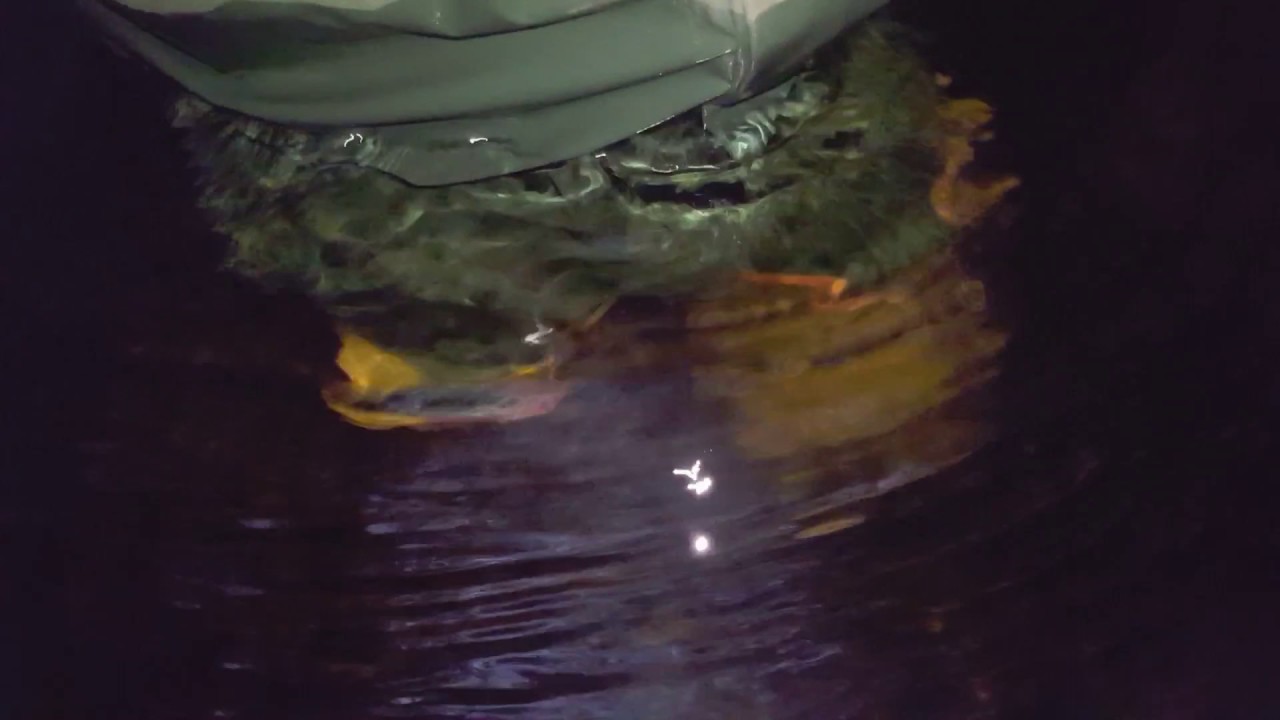 Flooded Aigle Waders - YouTube