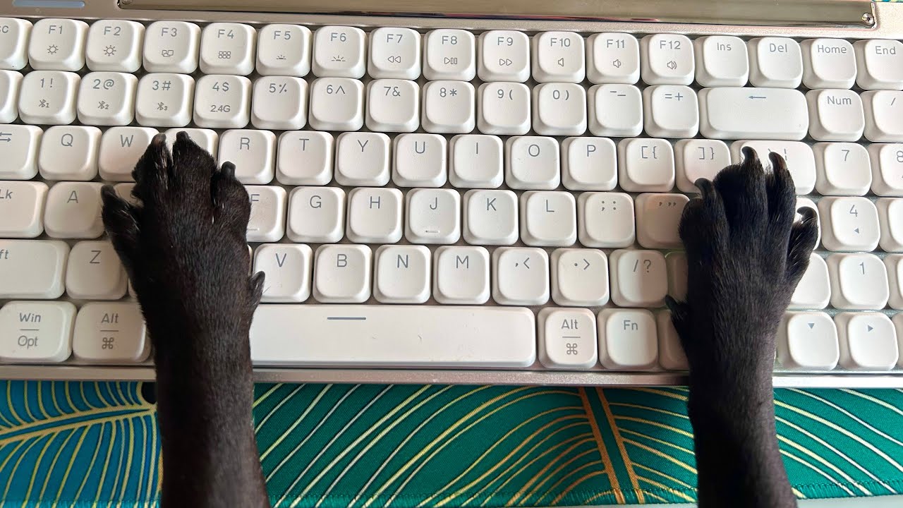 EARTO Mechanical Keyboard Crescent 96% CT100 - LOW PROFILE under $100 ...