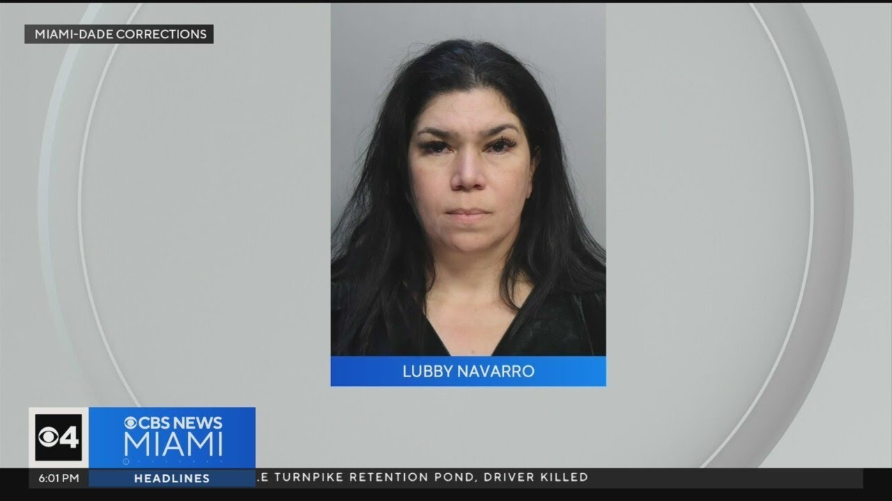 Ex-Miami-Dade School Board member Lubby Navarro's attorneys argue to ...