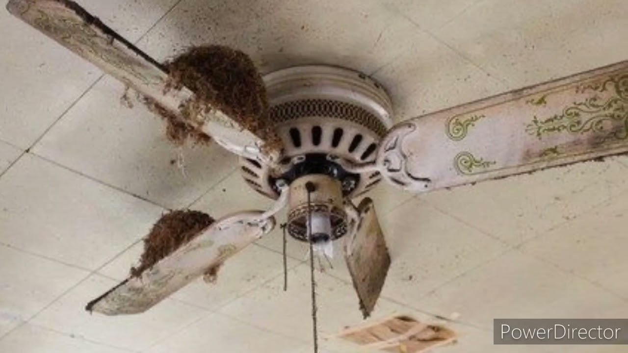 abandoned forgotten destroyed ceiling fans part 124 - YouTube