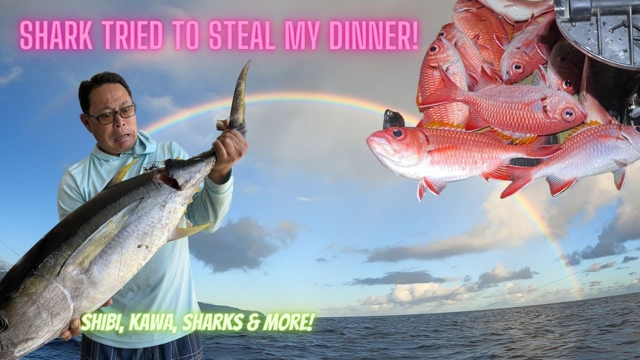 Shark Tried to Steal My Dinner! | Shibi, Kawa, Sharks & More! | Kayak ...