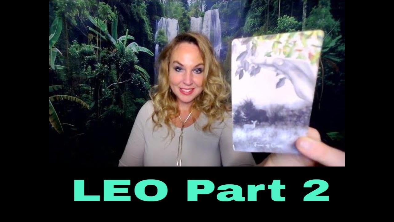 Leo Part 2: Get ready for the Hierophant! A love that is interesting ...