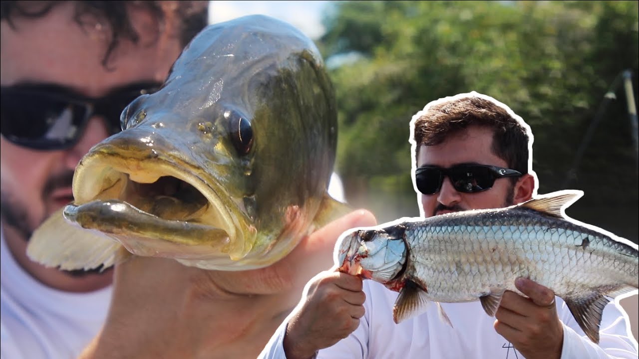 Tarpon and Snook Fishing in Florida | "Deep in the Backcountry" HD ...