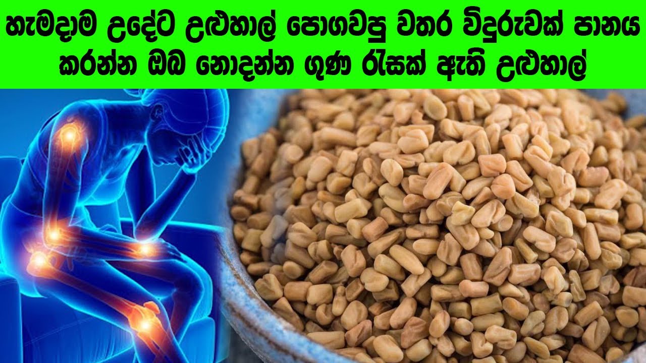 උළුහාල් වල විශ්මිත ගුණ - Amazing properties of fenugreek For a healthy ...
