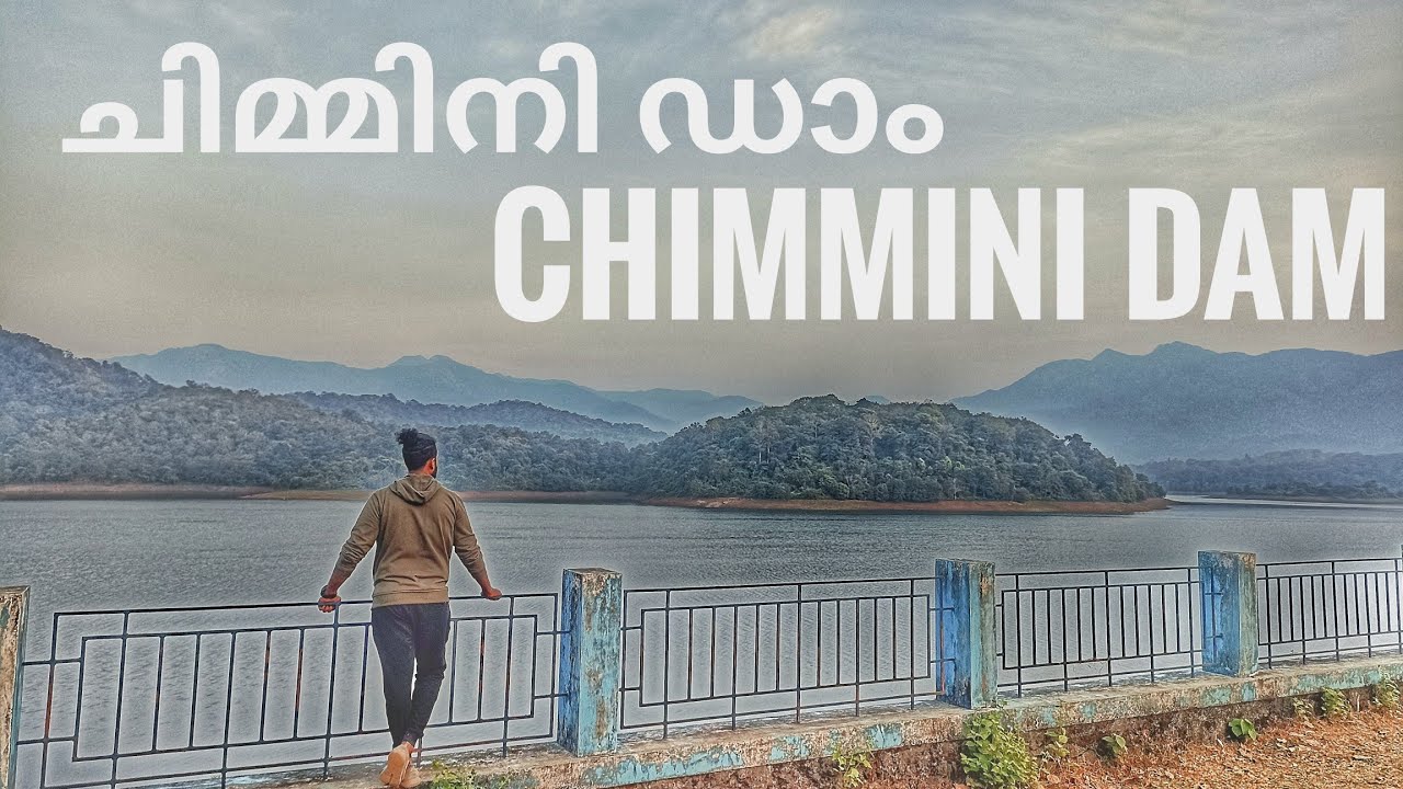 Chimmini Dam #chimmini wild life sanctuary #dam #wildlife #chimmini dam ...