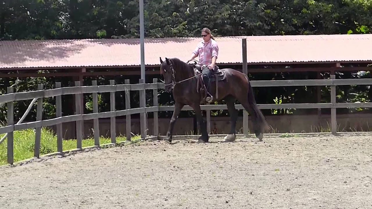 Frank's first ride on Gaia Sept. 2013 - YouTube
