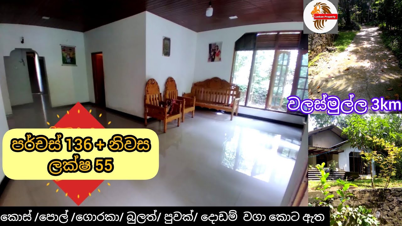 බෝග වර්ග සිටුවා ඇති පර්චස් 136 සමග නිවස විකිණීමට වලස්මුල්ල🏠 House for ...