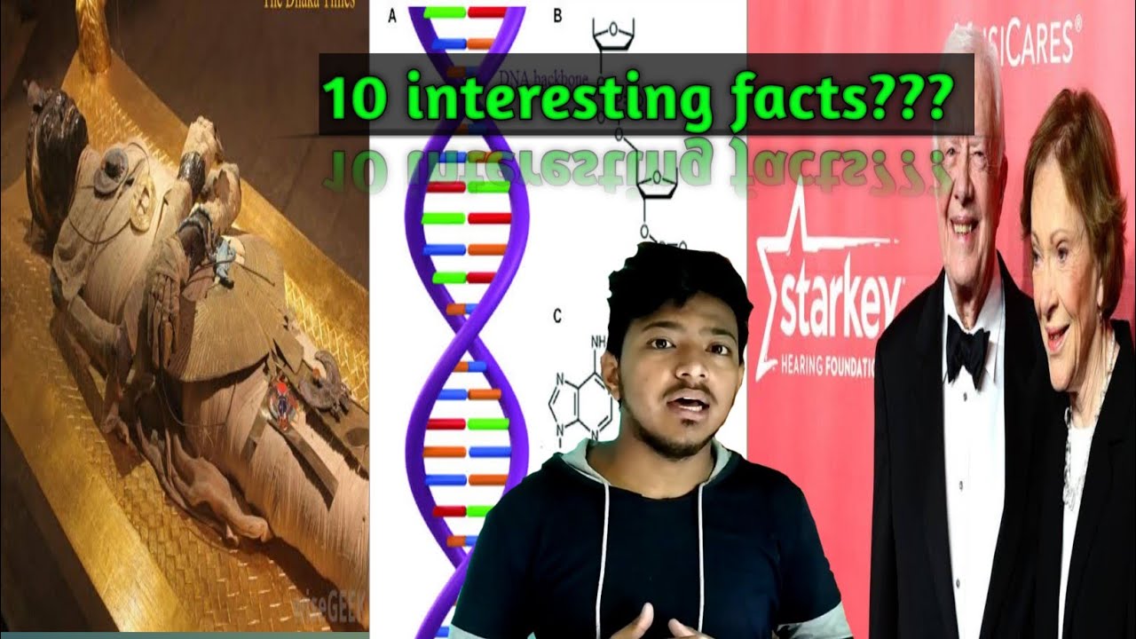 10 most interesting fact that you don't know. - YouTube