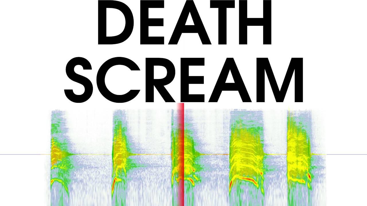 Death Scream Sound Effects - YouTube