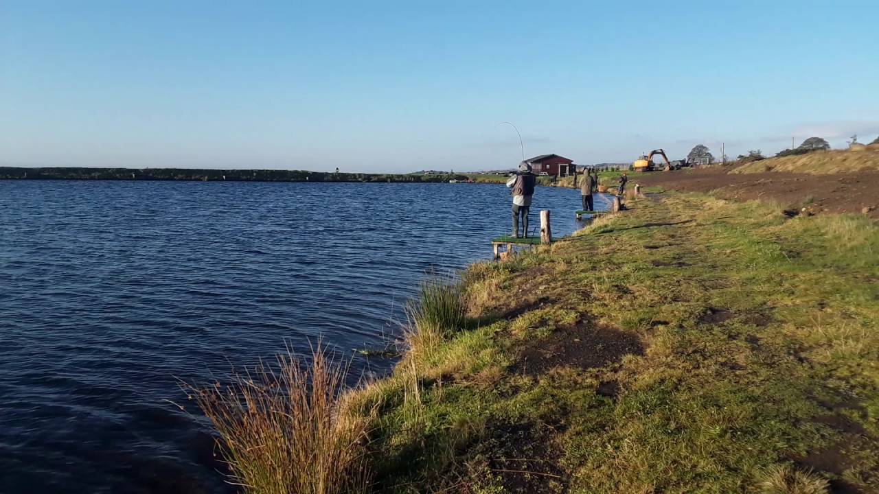 Big fish at Woodburn trout fishery - YouTube