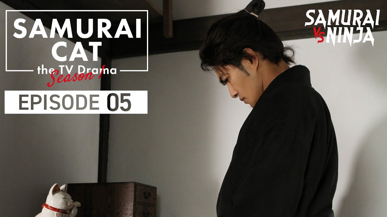 Samurai Cat Full Episode 5 | SAMURAI VS NINJA | English Sub - YouTube