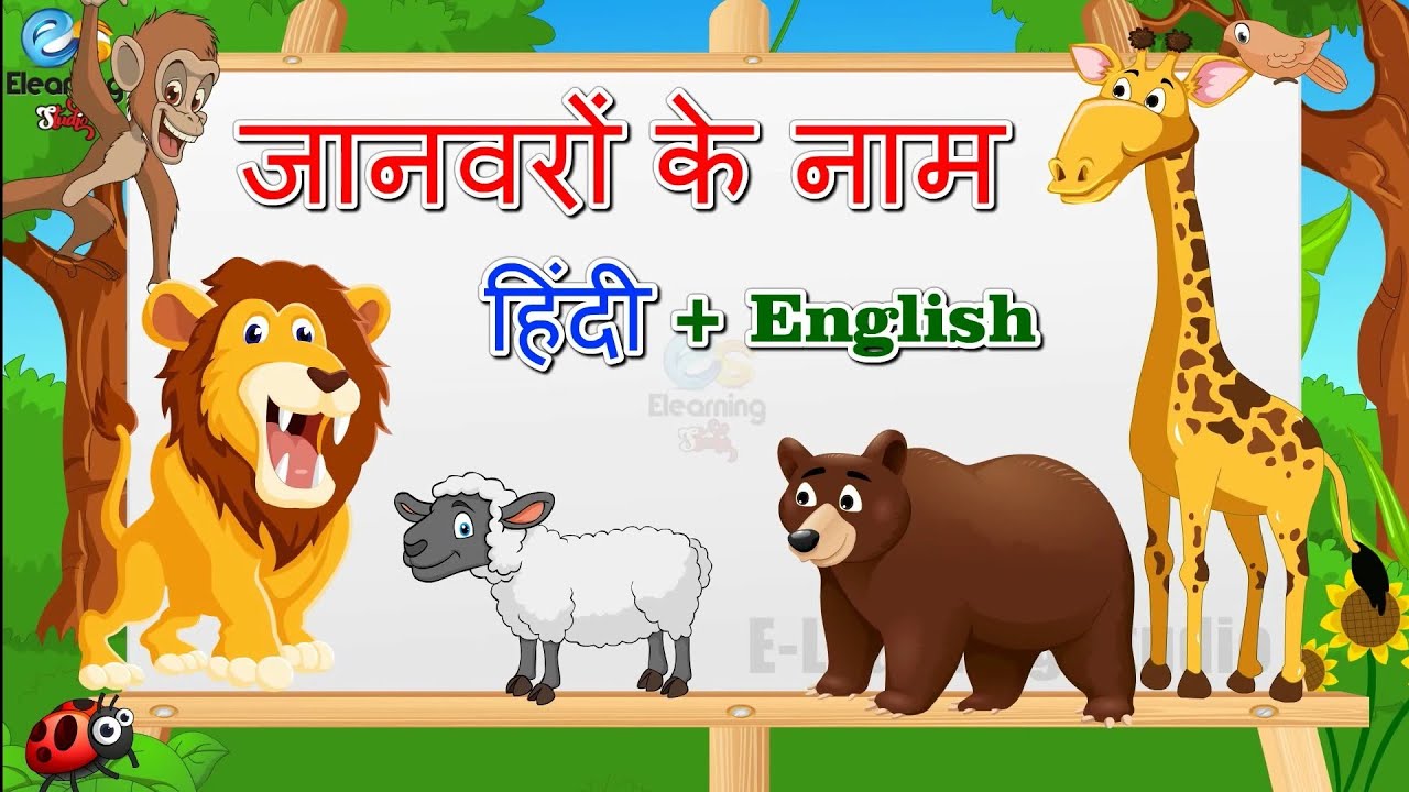 जानवरो के नाम हिंदी और अंग्रेजी में ! Animel Name in Hindi and English ...