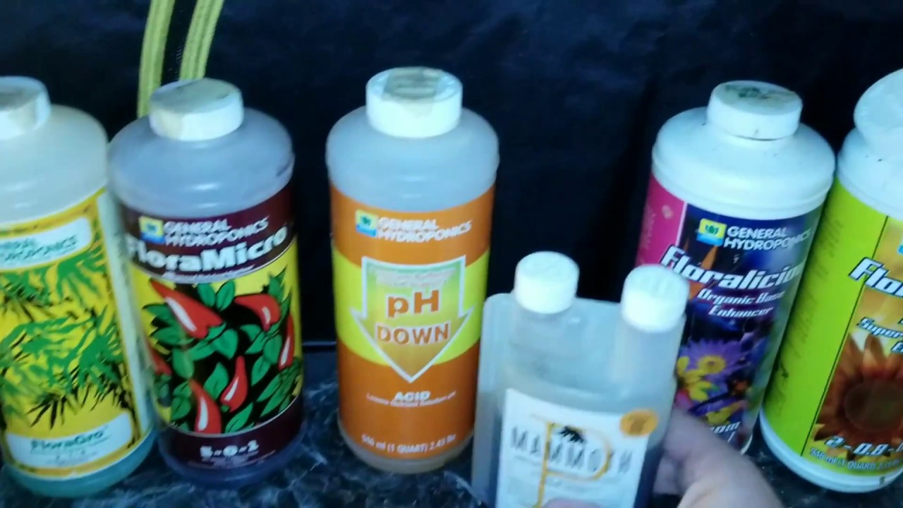 2018 Multi Strain Coco Grow update! - YouTube