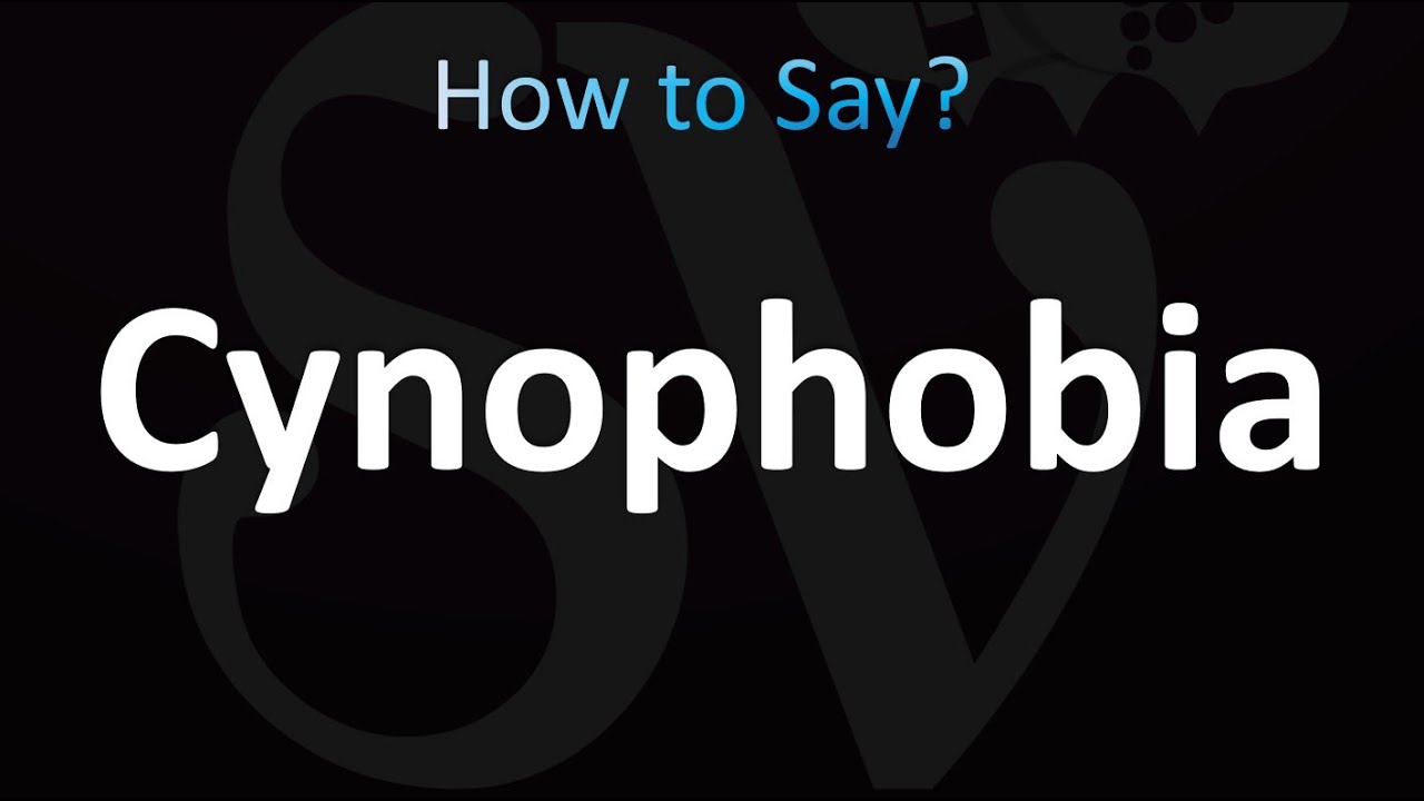 How to Pronounce Cynophobia (correctly!) - YouTube