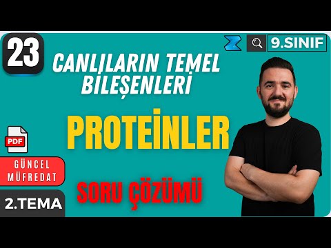 9. Sınıf Biyoloji Yeni Müfredat | Proteinler Soru Çözümü | Maarif Modeli | 23. Ders