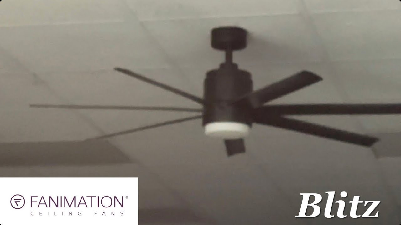 56” Fanimation Blitz ceiling fans - YouTube