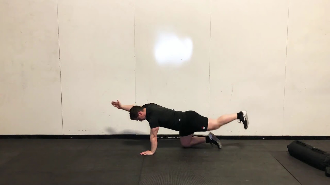 Bird Dogs Alternating - YouTube