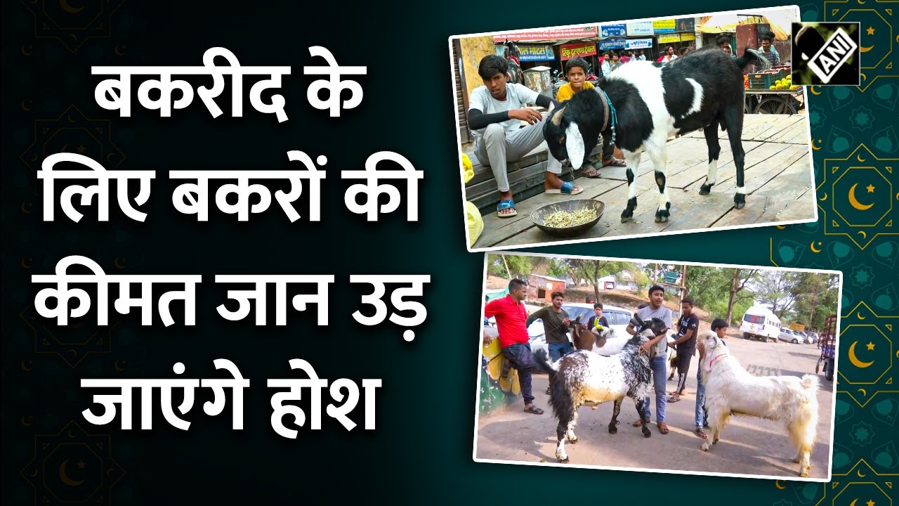 Eid-Al-Adha 2024: Bakrid से पहले बकरों का लगा बाजार, लाखों के बिक रहे ...