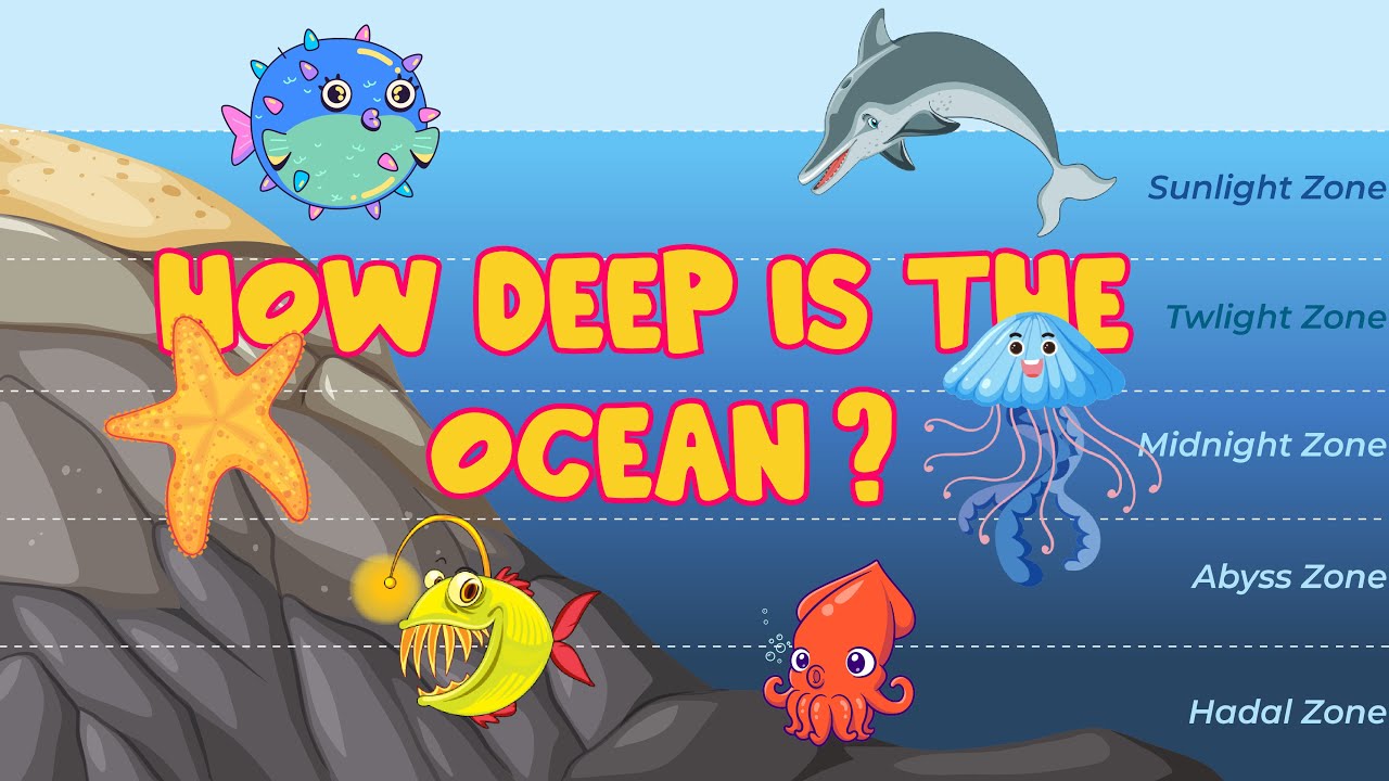 How Deep Is The Ocean? | Sea Fishes & Animals | Sea zones | For Kids ...