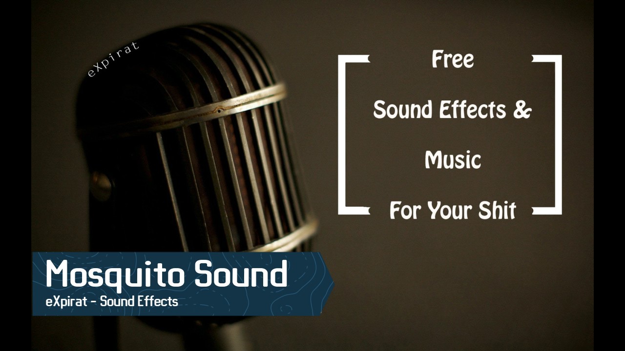 Mosquito Buzzing - Sound Effect - 2017 - YouTube