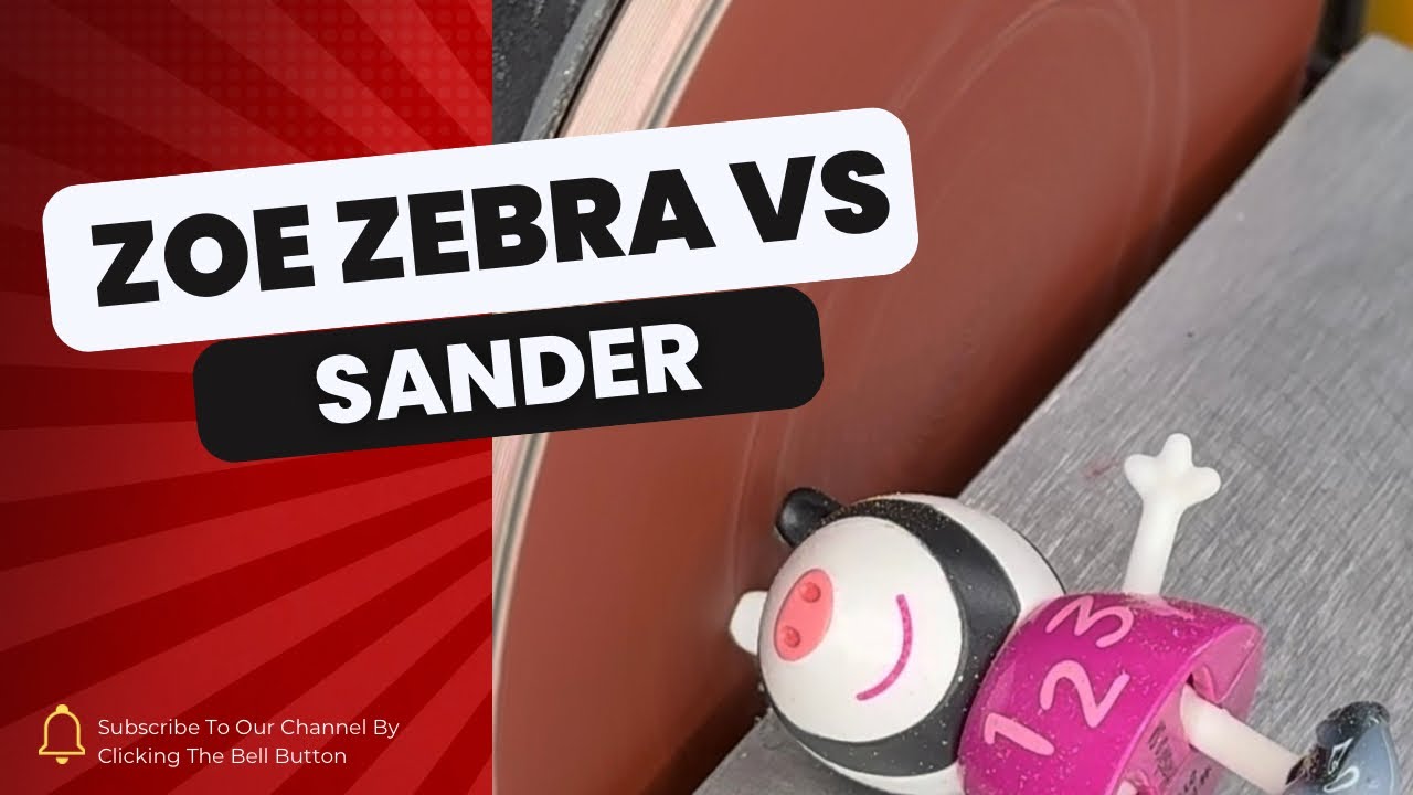 Zoe Zebra vs Sander - Peppa Pig - YouTube