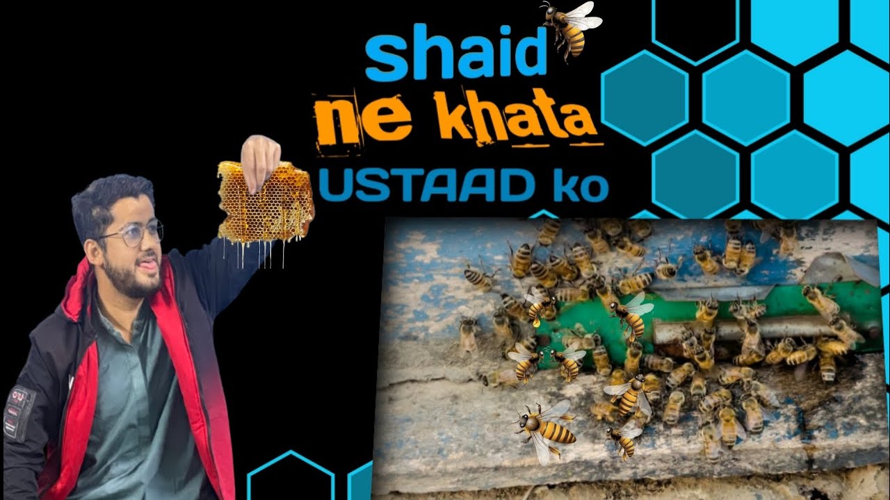 SHAID NE KHATA USTAD KO/CAZAN VLOGS/ENTERTAINMENT VLOGS/FUNNY VLOGS ...