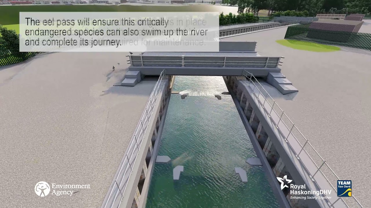 Colwick (Holme Sluices) fish pass visualisation - YouTube